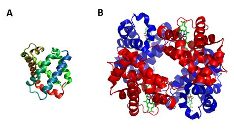 Chapter 2 Protein Structure Chemistry