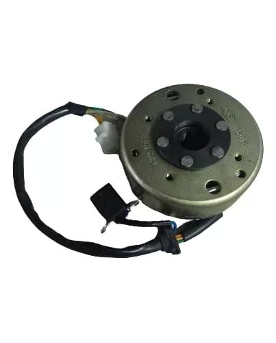 Conjunto Volante Magnetico Completo Zanella Exclusiv Pro