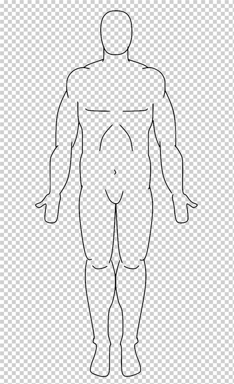 Posición Anatómica Del Cuerpo