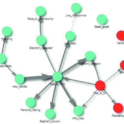A Graphical Representation Of The Extended Model S Bayesian Belief