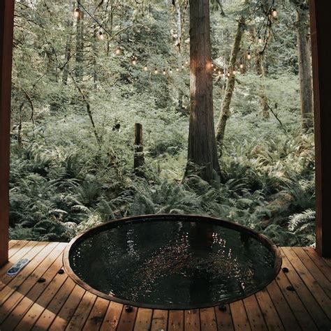 Mt Baker Cabin W Hot Tub Panoramic Forest Views Cabins For Rent In