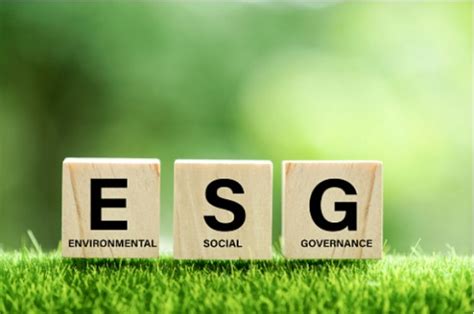 ISP RSE ESG entenda as diferenças MGN Consultoria