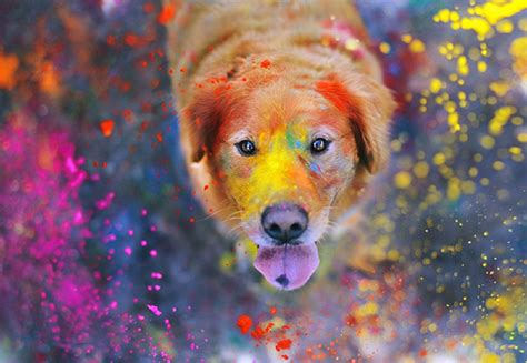 4 Tipos de fotografías creativas Agencia de Fotografia en Madrid