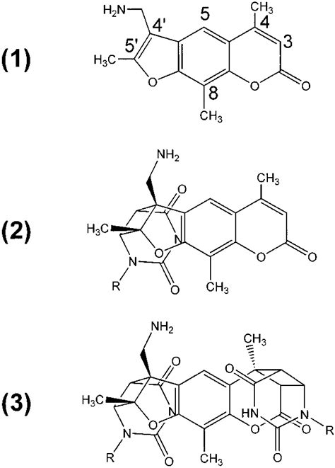 Structures Of The Two Types Of 4 Aminomethyl 4 5 8 Trimethylpsoralen