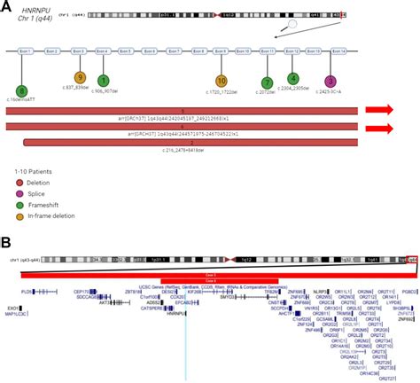 DNA Methylation Episignature And Comparative Epigenomic Profiling Of
