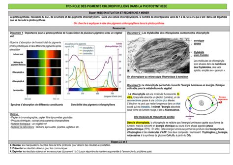 TP2 ROLE DES PIGMENTS CHLOROPHYLLIENS DANS LA