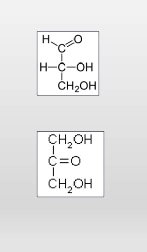 Exam Biochem Flashcards Quizlet