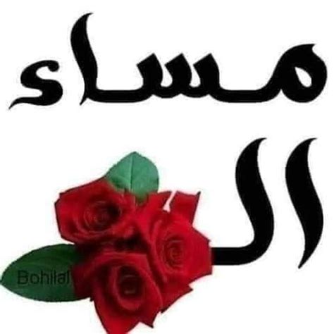 Pin by Samia gaser on flowers فلور Good evening greetings Evening