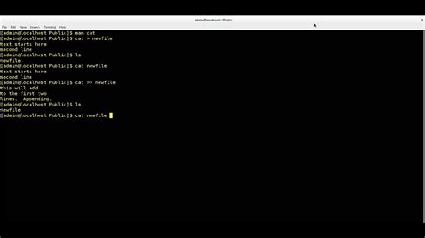 linux shell basics three uses of the cat command youtube