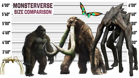 MonsterVerse Size Comparison The Biggest Characters MonsterVerse YouTube