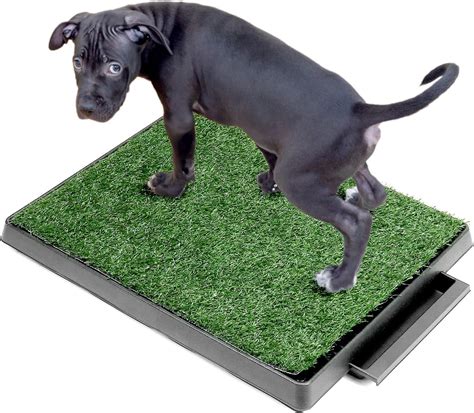 QWORK Hundetoilette Mit Kunstrasen 63 X 51 Cm Waschbar Hundeklo