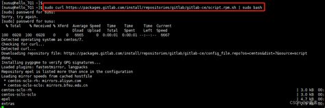 gitlab在线安装、离线安装、搭建、使用等详细介绍，不能再详细了…… windows服务器离线安装gitlab csdn博客