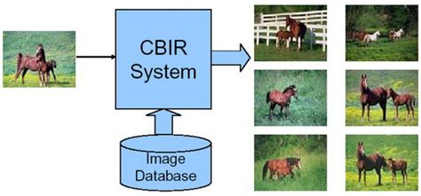 image retrieval color coherence vector owlcation