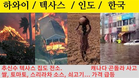 미국레알뉴스 8 11 하와이 한인 하와이산불 사망자급증 텍사스 추신수저택 전소 민간인 우주비행 성공 코치 베르사체 쌀