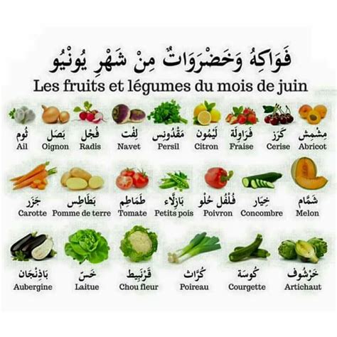 Zelenina ovocie العرب Vocabulaire arabe Apprendre l arabe et