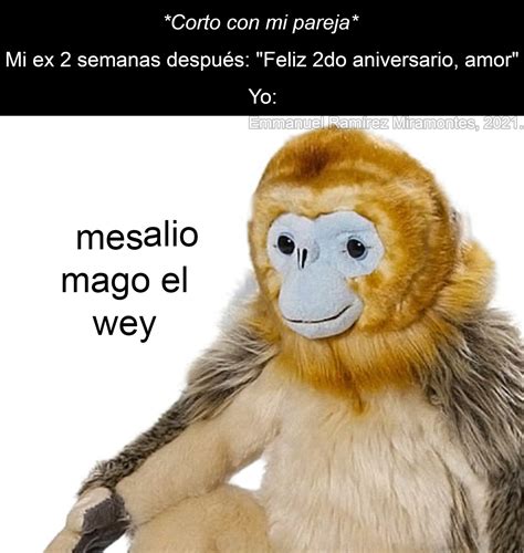 Sorpresas Chocantes Creadas Con Formatos Y Conceptos Malos Meme By