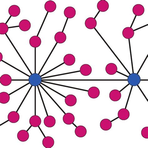 a graph with n nodes where two star coupled networks are connected download scientific