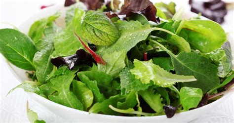 Receitas De Salada De Folhas Verdes Light Mundoboaforma