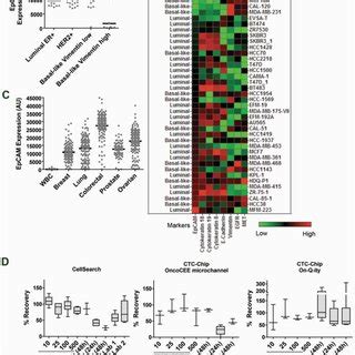 A Epcam Expression In Breast Cancer Cell Lines Grouped By Molecular
