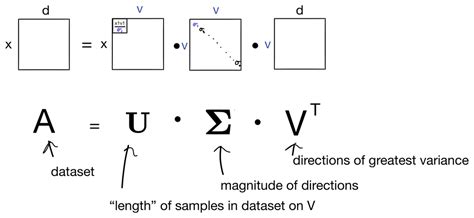 explained singular value decomposition svd