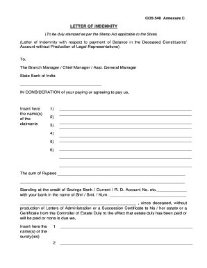 Indemnity Letter Sample For Bank