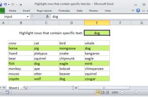 Highlight Row And Column Intersection Exact Match Excel Formula