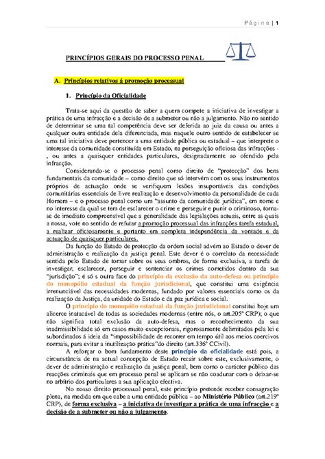 Princi PIOS Gerais DO Processo Penal PRINCÍPIOS GERAIS DO PROCESSO