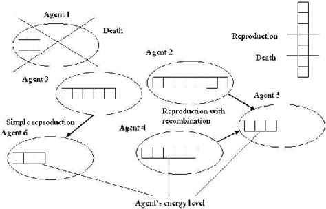 figure 2 from elitism in agent based evolutionary multiobjective optimization
