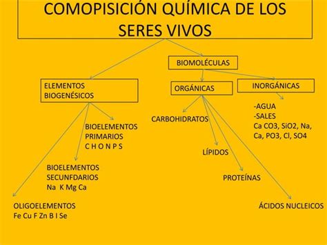 Composición química de los seres vivos PPT Descarga Gratuita