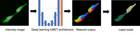 deep learning instance segmentation image analysis training resources