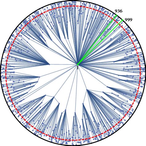 a hyperbolic tree with 1000 nodes one can observe the strong hierarchy download scientific
