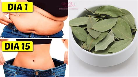 Como Desinchar A Barriga Em Minutos O Contador De Cervejas
