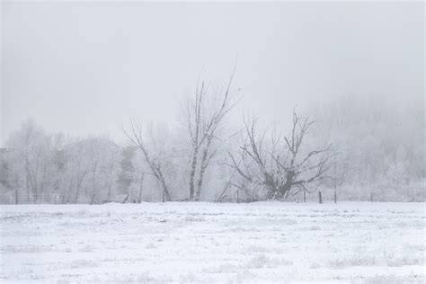 Banco de imagens panorama árvore natureza neve frio névoa geada