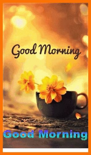 Good Morning Have A Wonderful Day Good Morning Have A Wonderful