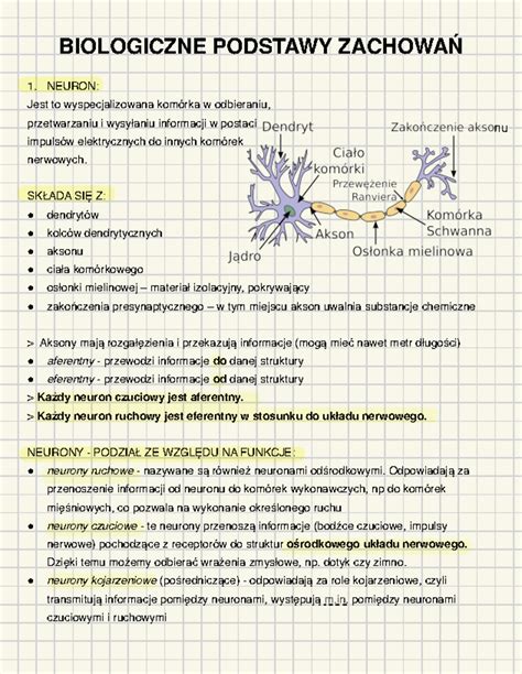 Biologiczne Podstawy Zachowań nu BIOLOGICZNE PODSTAWY ZACHOWAŃ 1