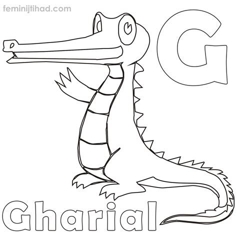 Gharial Coloring Pages PDF Coloringfolder