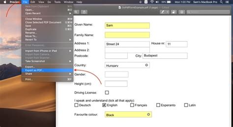 The Best Method To Fill Out A Pdf Form On Mac