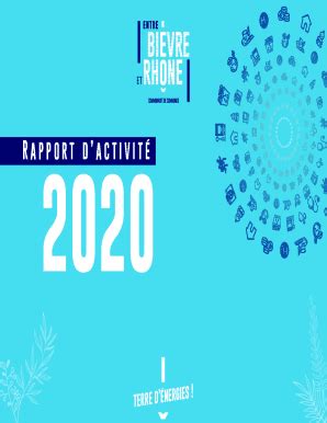 Fillable Online Rapport Financier Et Tats Financiers Audits Unicef