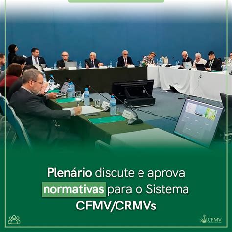 PLENÁRIO DO CFMV DISCUTE E APROVA NORMATIVAS PARA O SISTEMA CFMV CRMVs