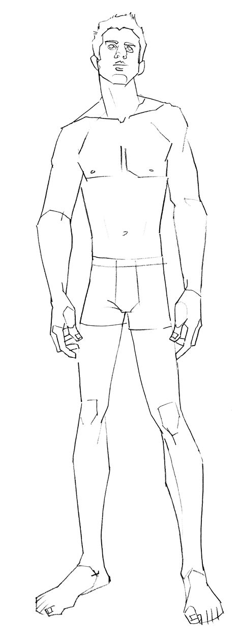 Corpo Humano Masculino Desenho Librain