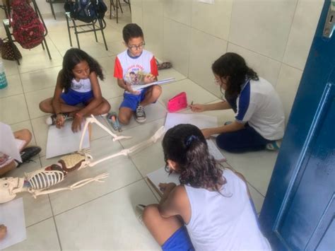 5 Ano Conhecendo O Corpo Humano CEDEC Centro De Desenvolvimento