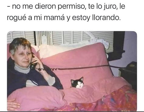 EL único sueño que se me hace realidad Memes