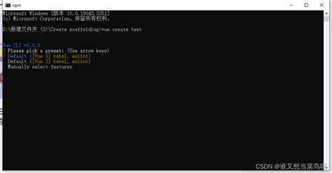 vue cil创建vue项目 vuecli检测 csdn博客