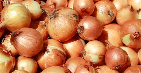 Conoce Los Grandes Beneficios De Consumir Cebolla En Tus Comidas Salud