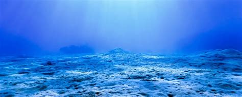 Descubre El Misterio Que Se Esconde En El Fondo Del Mar Del Norte