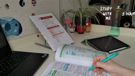 Study With Me 2 HOUR Benimle Çalış No Music Fireplace YouTube