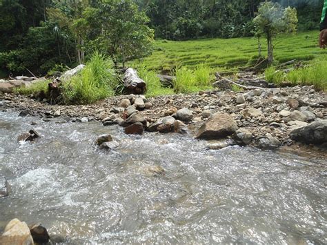 Manfaat Membersihkan Sungai Cintai Lingkungan PT Eticon Rekayasa Teknik