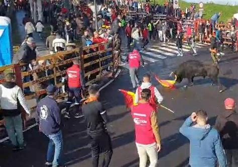 Un Hombre Trasladado Al Hospital Por Un Puntazo En El Encierro De