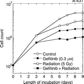 Growth Inhibition By Gefitinib And Radiation Cells Were Exposed To