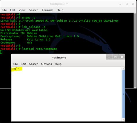 how to edit host file in kali linux systran box